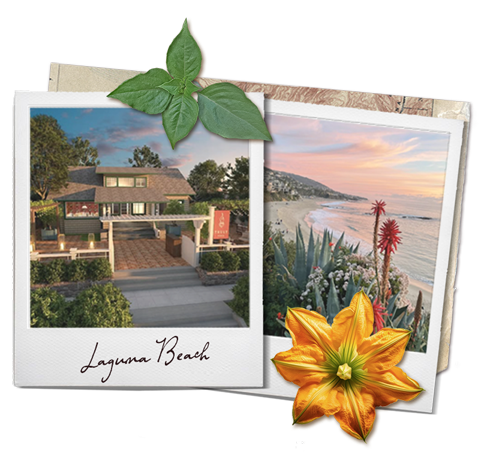 Laguna Beach Menu – Truly Pizza